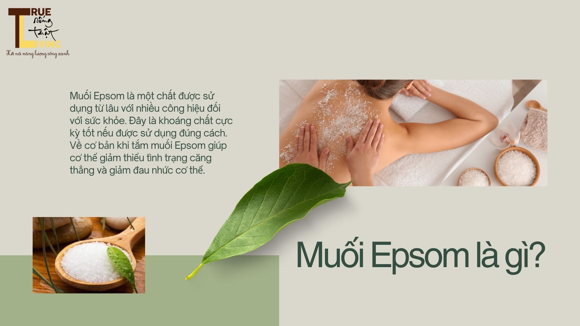 Công dụng bất ngờ khi bạn tắm muối Epsom - TrueLiving.vn